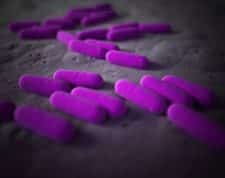 The Appendix: It's Not as Useless as You've Been Told