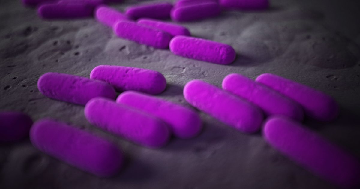 The Appendix: It's Not as Useless as You've Been Told