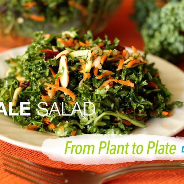 Romaine Citrus Salad | Life & Health Network